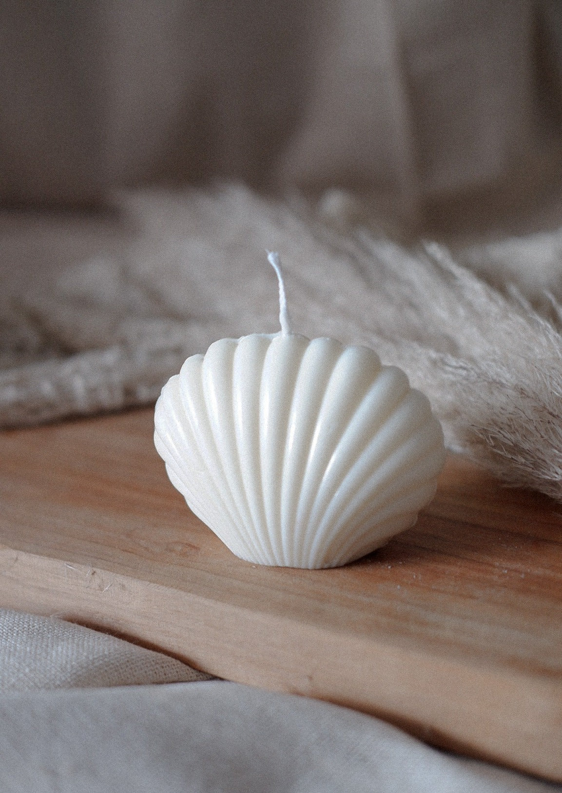 Vienna Shell Candle – SOUNG INSPIRED